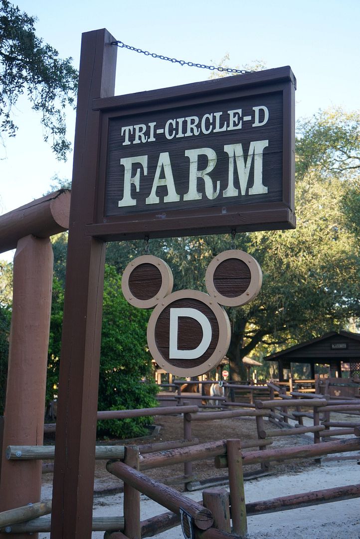 Tri-Circle-D Farm – Taste of Disney