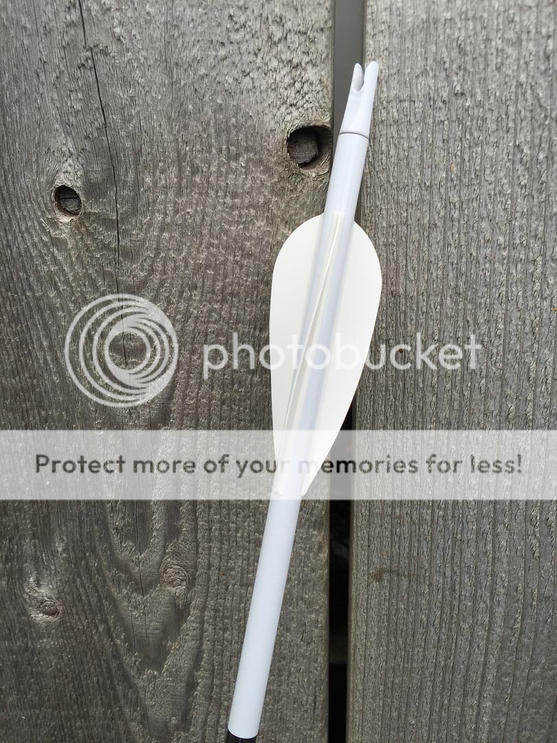 fletching color | Archery Talk Forum